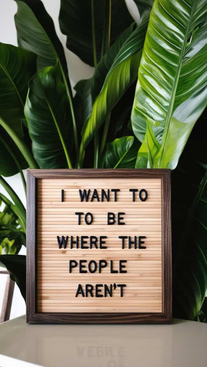 10 Inspiring Spring Letter Board Quotes to Brighten Your Season